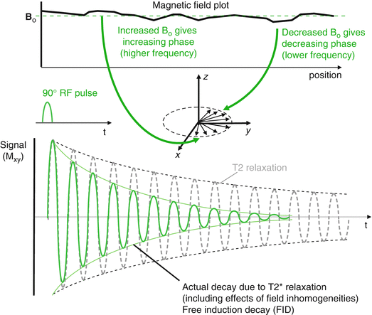 Relaxation Times, Gradient Echoes and Spin Echoes | SpringerLink