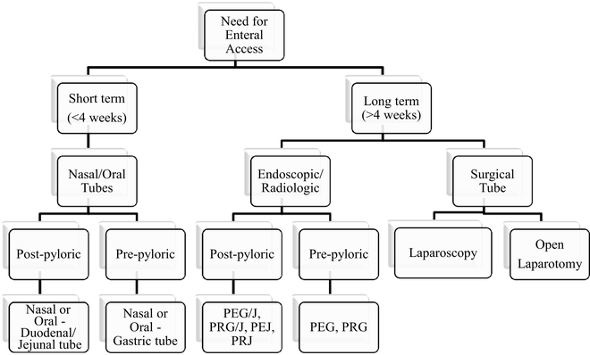 Access and Complications of Enteral Nutrition Support for Critically ...