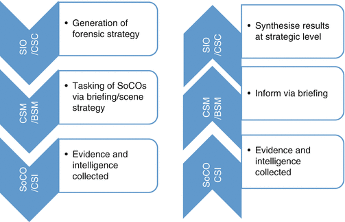 The Examination of Post-blast Scenes | SpringerLink