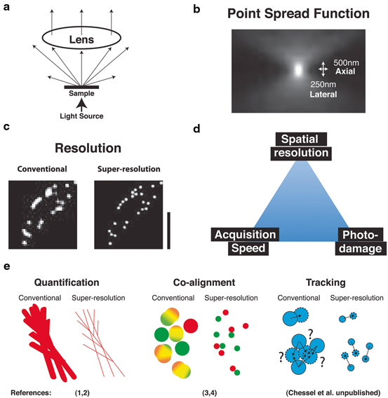 Super-Resolution Microscopy: SIM, STED and Localization Microscopy ...