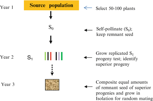 Conventional Plant Breeding Principles and Techniques | SpringerLink