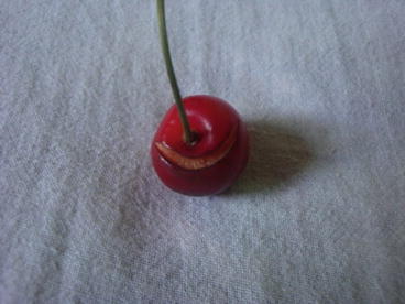 Causes and Prevention of Cherry Cracking: A Review | SpringerLink