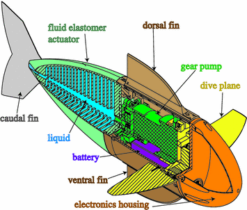 Hydraulic Autonomous Soft Robotic Fish for 3D Swimming | SpringerLink