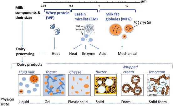 Effect of Milk Fat Globule Size on Functionalities and Sensory ...