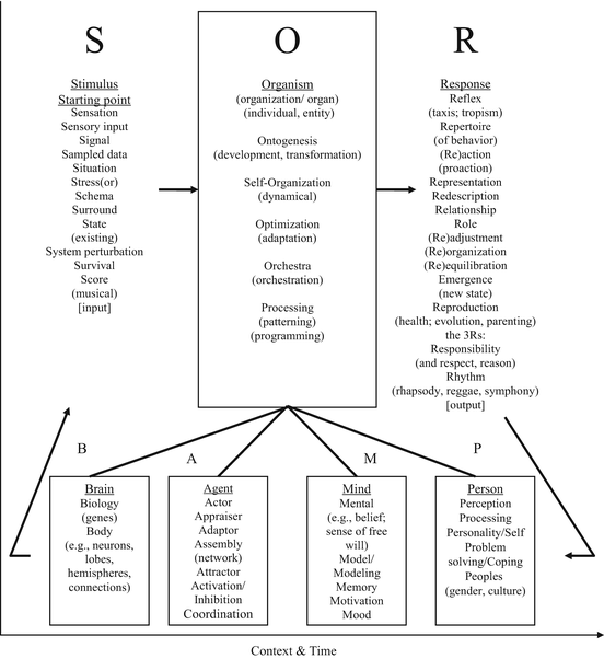 Stimulus–Organism–Response Model: SORing to New Heights | SpringerLink