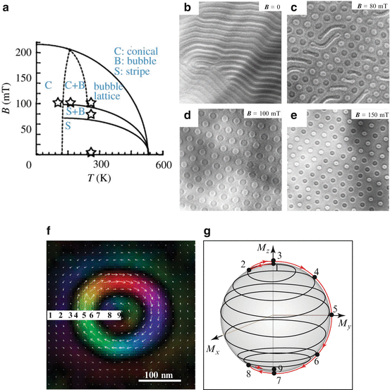Observation of Skyrmions in Magnetic Materials | SpringerLink