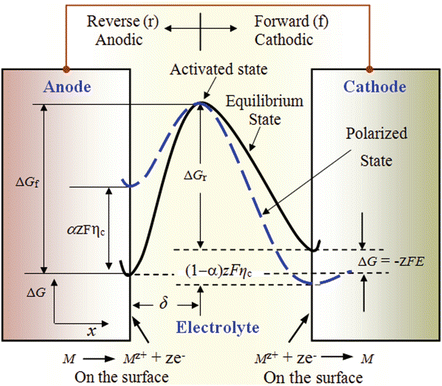Kinetics of Activation Polarization | SpringerLink