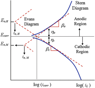 Kinetics of Activation Polarization | SpringerLink