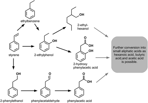 Pathways for the Degradation of Styrene | SpringerLink