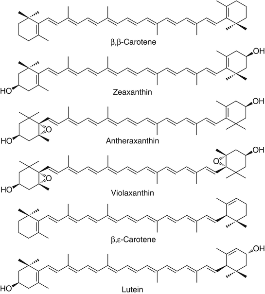 Carotenoids | SpringerLink