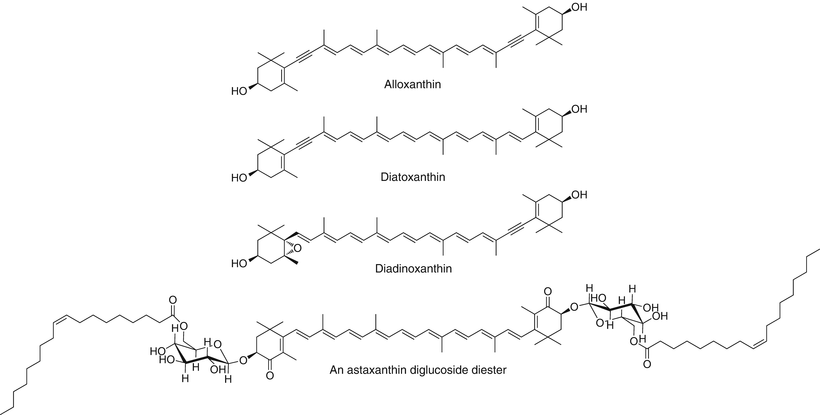 Carotenoids | SpringerLink