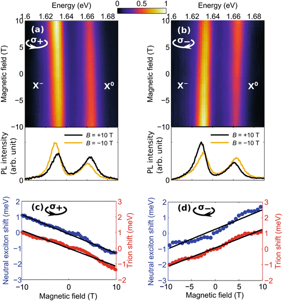 Valley Splitting and Polarization by Zeeman Effect in Monolayer MoSe2 ...