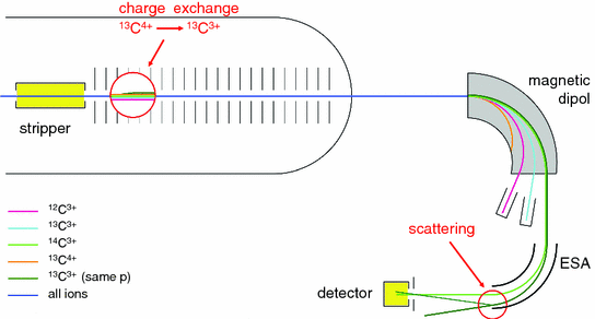 Accelerator Mass Spectrometry of Radiocarbon | SpringerLink