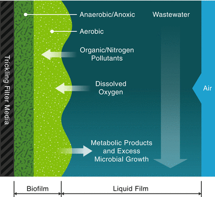 Municipal and Industrial Wastewater Treatment Using Plastic Trickling ...