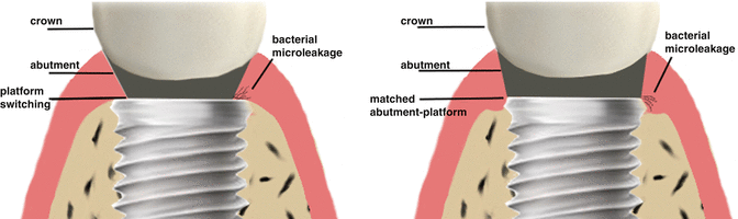 Platform Design | SpringerLink