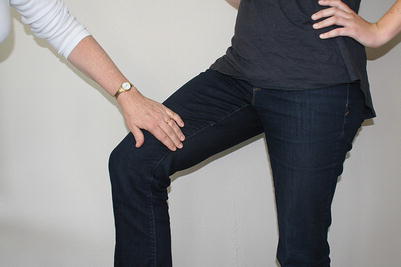 Obturator Nerve Entrapment: Lower Extremity | SpringerLink