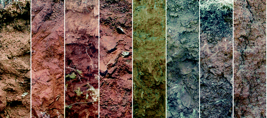 Probabilistic Representation of Genetic Soil Horizons | SpringerLink