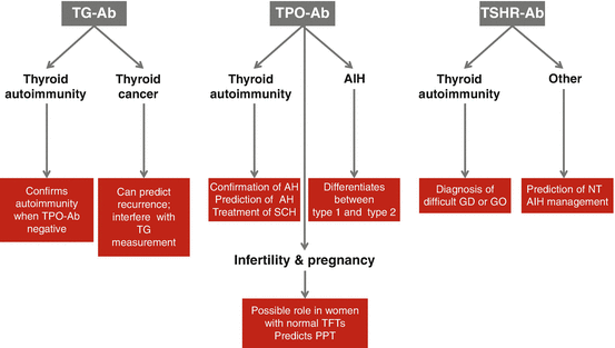 Thyroid Autoantibodies | SpringerLink