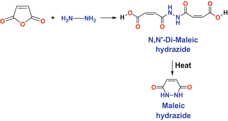 Reactions Involving Maleic Anhydride | SpringerLink