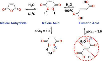Reactions Involving Maleic Anhydride | SpringerLink