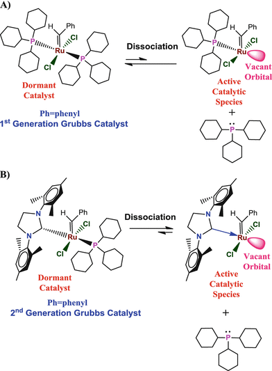Ring-Opening Metathesis Polymerization (ROMP) Using Maleic Anhydride ...