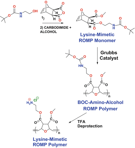 Ring-Opening Metathesis Polymerization (ROMP) Using Maleic Anhydride ...