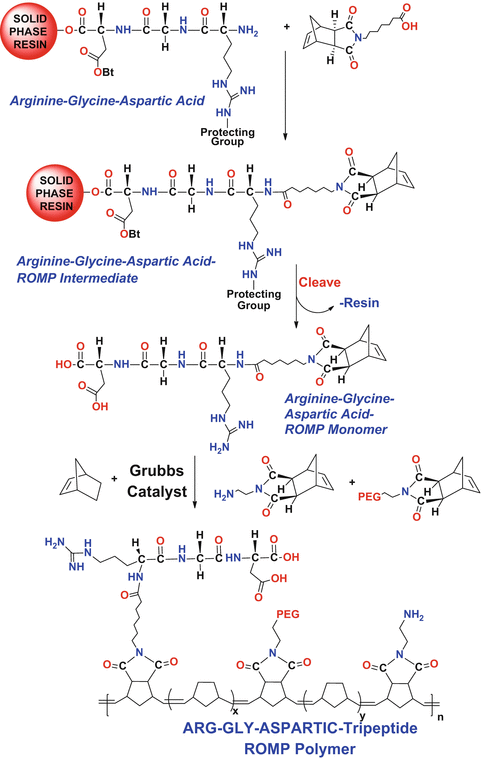 Ring-Opening Metathesis Polymerization (ROMP) Using Maleic Anhydride ...