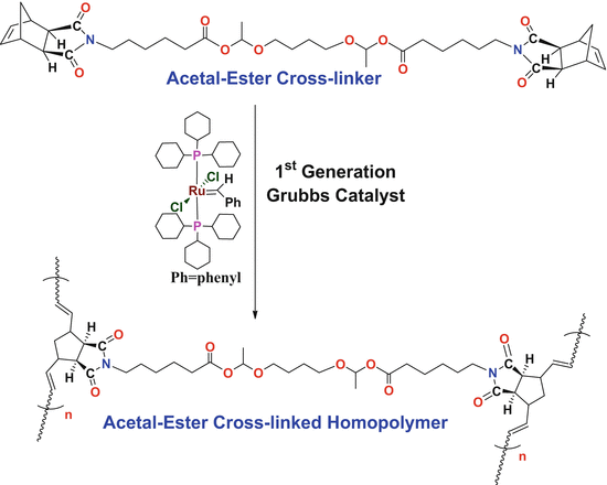 Ring-Opening Metathesis Polymerization (ROMP) Using Maleic Anhydride ...