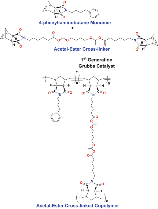 Ring-Opening Metathesis Polymerization (ROMP) Using Maleic Anhydride ...