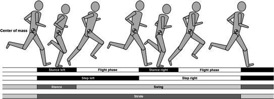 Biomechanics of Marathon Running | SpringerLink