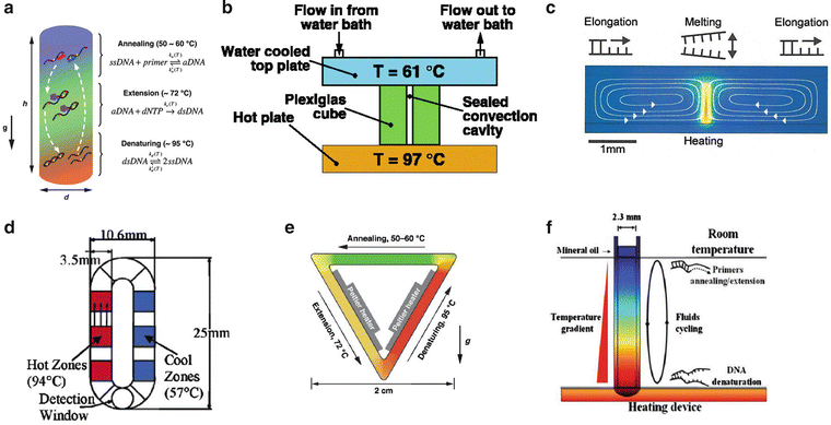 Convective PCR Thermocycling with Smartphone-Based Detection: A ...