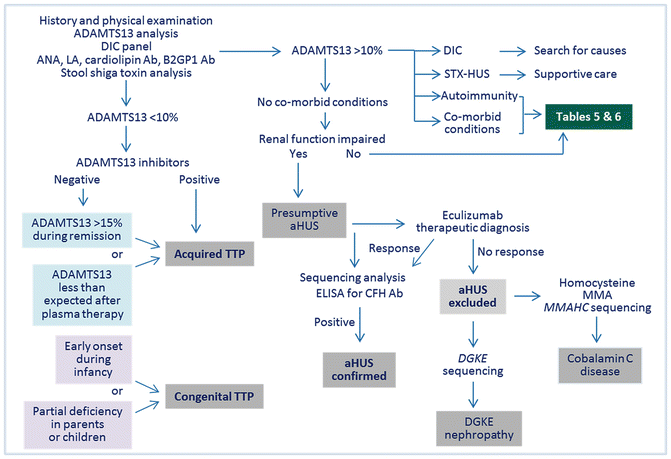 Thrombotic Thrombocytopenic Purpura and Hemolytic Uremic Syndrome ...