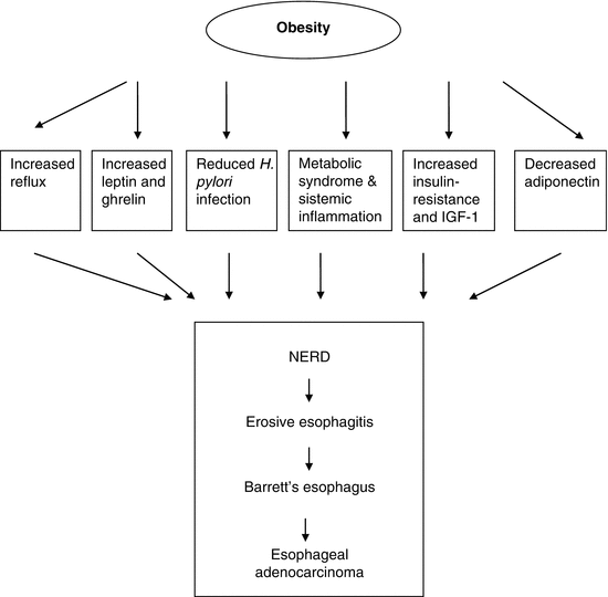 Why Overweight/Obesity Leads to GERD | SpringerLink