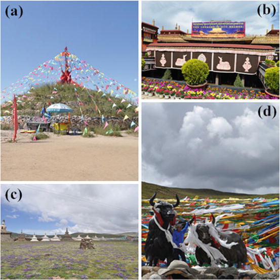 Overview: Pastoralism in the World | SpringerLink