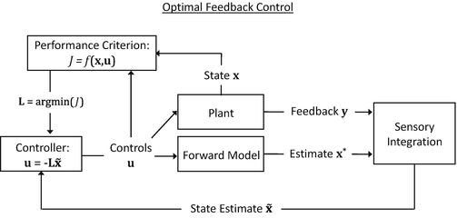 Optimal Control Modeling of Human Movement | SpringerLink