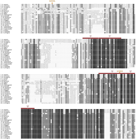 Resistance to Diamide Insecticides in Lepidopteran Pests | SpringerLink