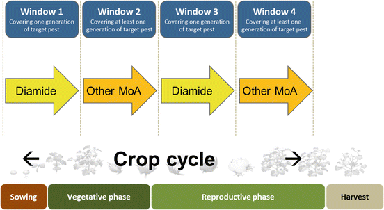 Resistance to Diamide Insecticides in Lepidopteran Pests | SpringerLink