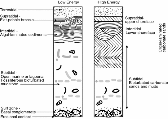 Carbonate Facies Models and Diagenesis | SpringerLink