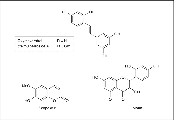 Ramulus Mori – Sangzhi | SpringerLink