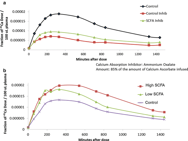 Prebiotics, Calcium Absorption, and Bone Health | SpringerLink