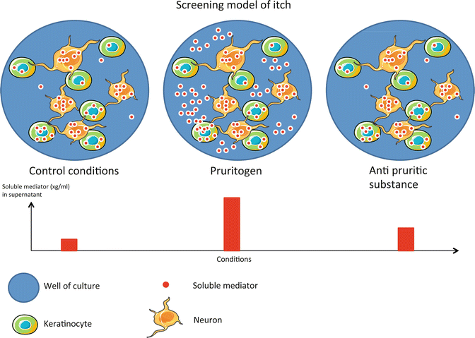 In Vitro Models of Itch | SpringerLink