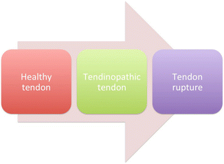 Drug-Induced Tendon Disorders | SpringerLink