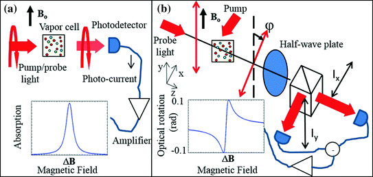 Microfabricated Optically-Pumped Magnetometers | SpringerLink