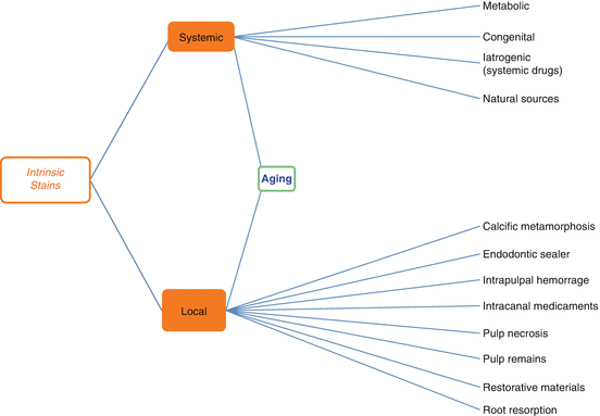 Intracoronal Whitening of Endodontically Treated Teeth | SpringerLink