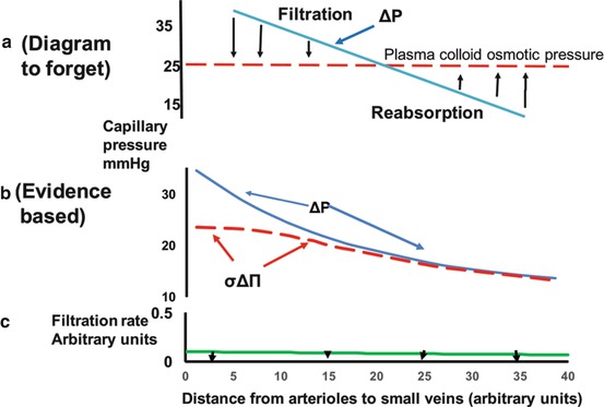 The Revised Starling Principle and Its Relevance to Perioperative Fluid ...