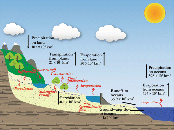 Hydrologic Cycle | SpringerLink
