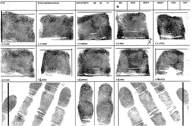 The Identification of Missing Persons Using Fingerprints | SpringerLink