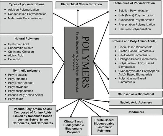 Natural Polymers vs Synthetic Polymer | SpringerLink