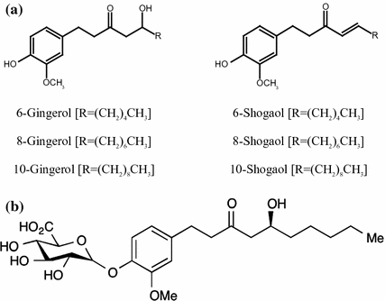 Gingerol and Its Role in Chronic Diseases | SpringerLink