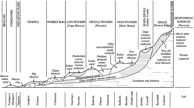 Soils of the Pacific Coast Region: LRRs A and C | SpringerLink